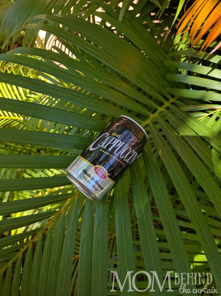What to eat in Maui - Hawaii vacation 21 • Mom Behind the Curtain